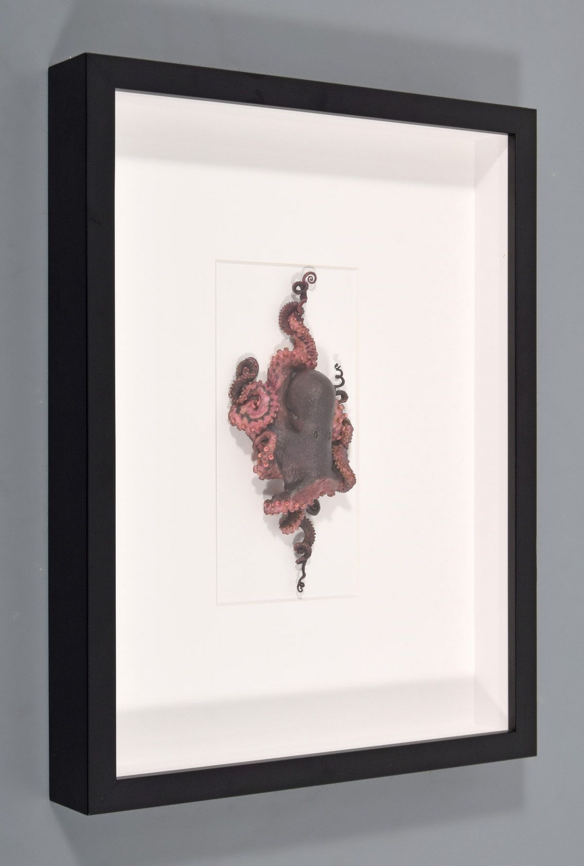 Christopher Marley | PHEROMONE Octopus Specimen | MutualArt