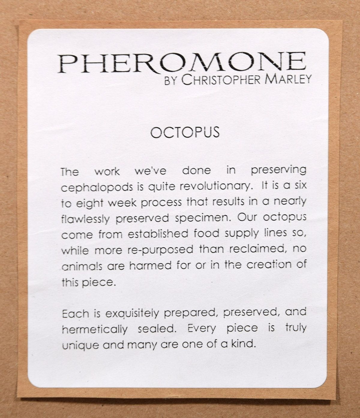 Christopher Marley | PHEROMONE Octopus Specimen | MutualArt