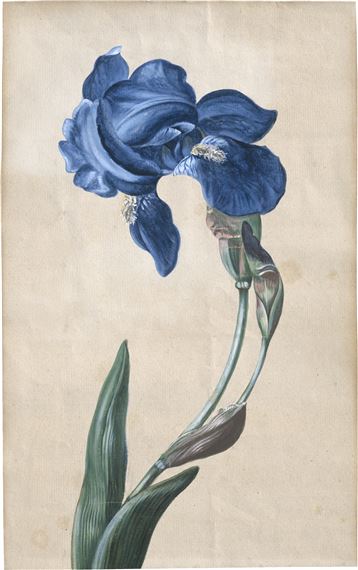 Josef Geyer | 1 Artworks at Auction | MutualArt