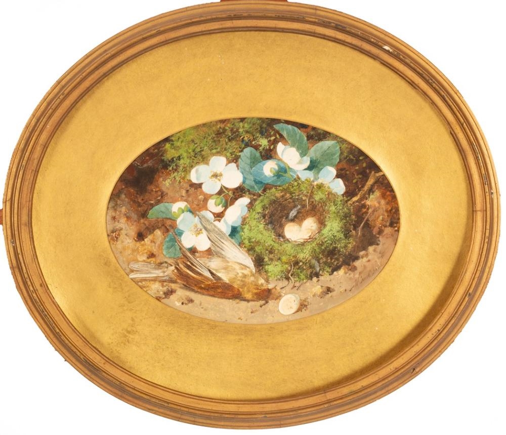 William Cruickshank | Still Life | MutualArt