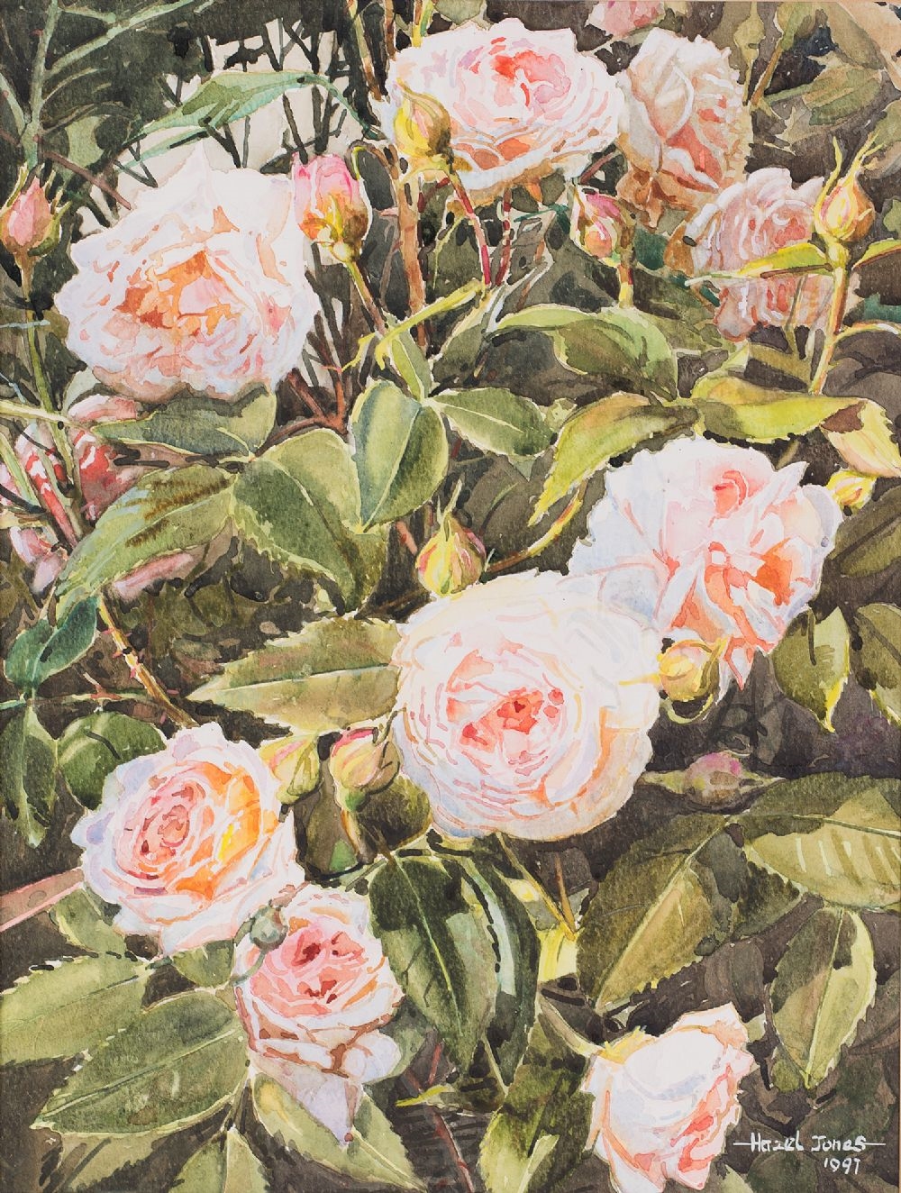 Hazel Jones | GARDEN ROSES | MutualArt