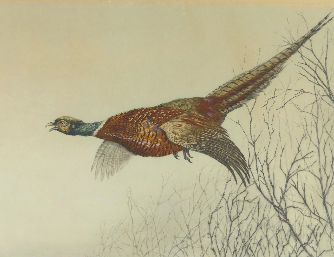 Leon Danchin | Pheasant in Flight | MutualArt