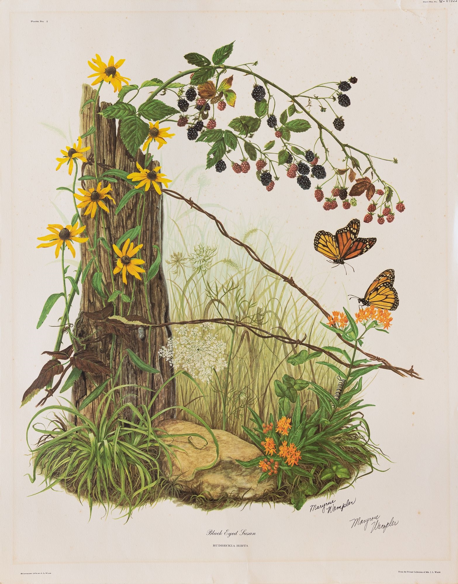 Maryrose Wampler | Flower (1974) | MutualArt