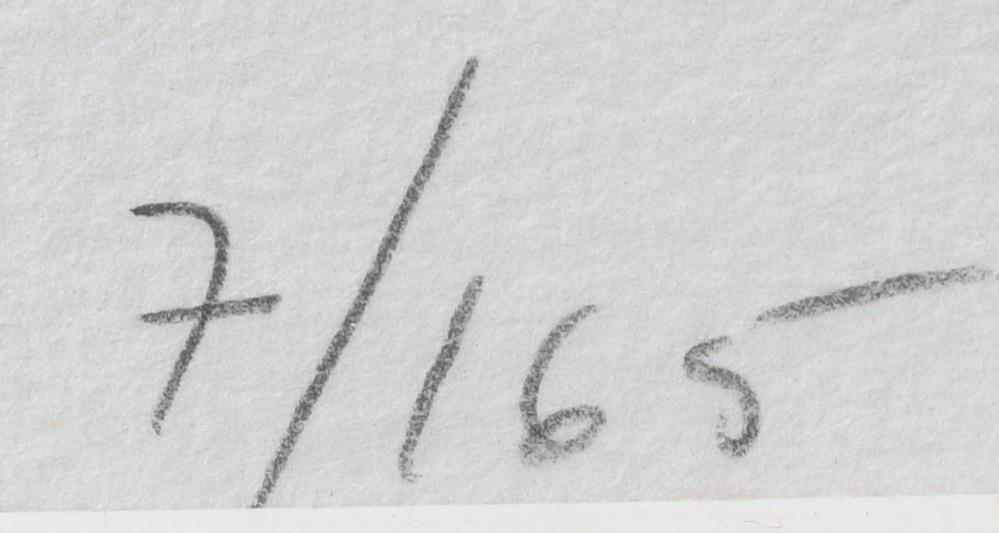 Nancy Graves | AIR AND SPACE MUSEUM POSTER, 1976 (1976) | MutualArt