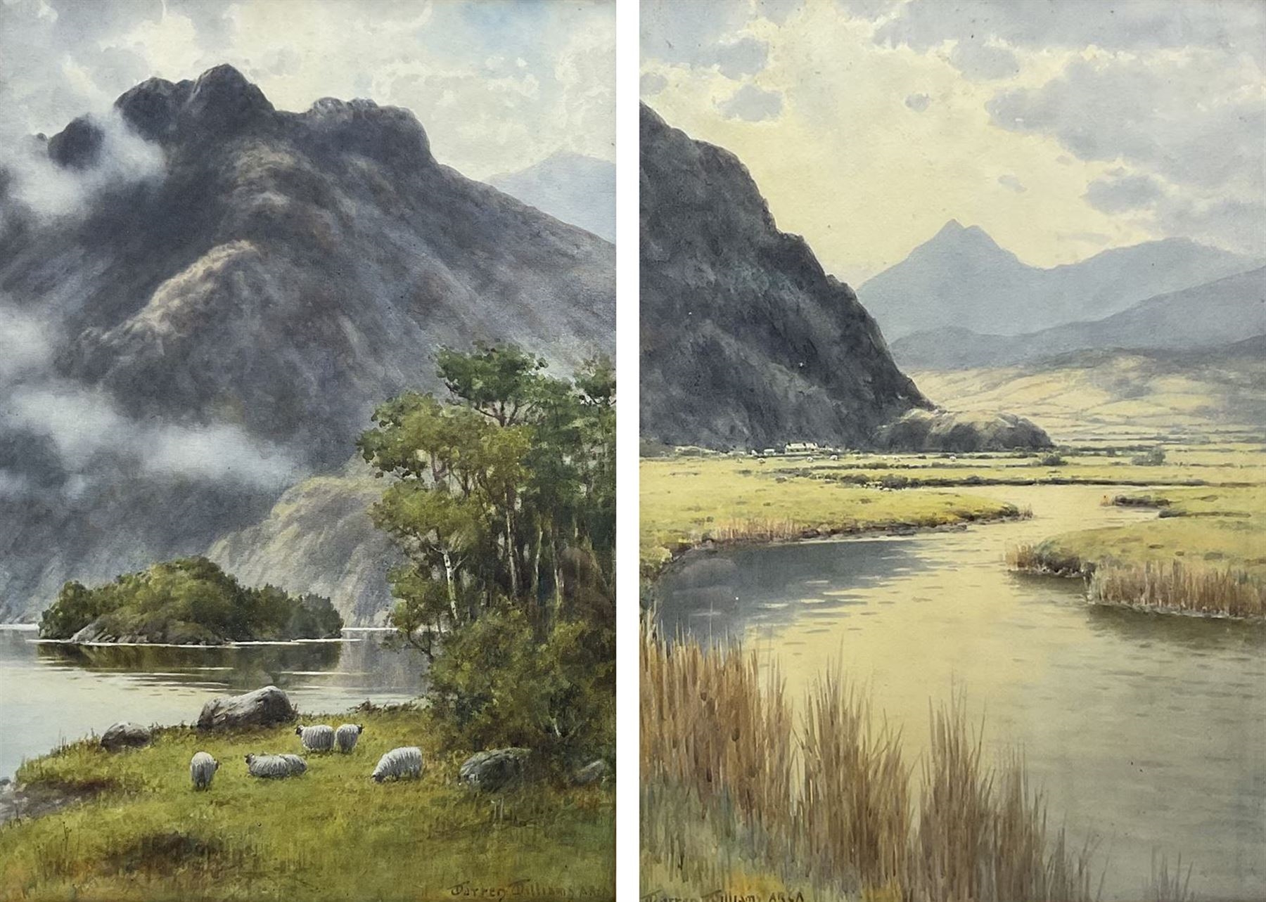 Warren Williams | Welsh River Landscapes | MutualArt