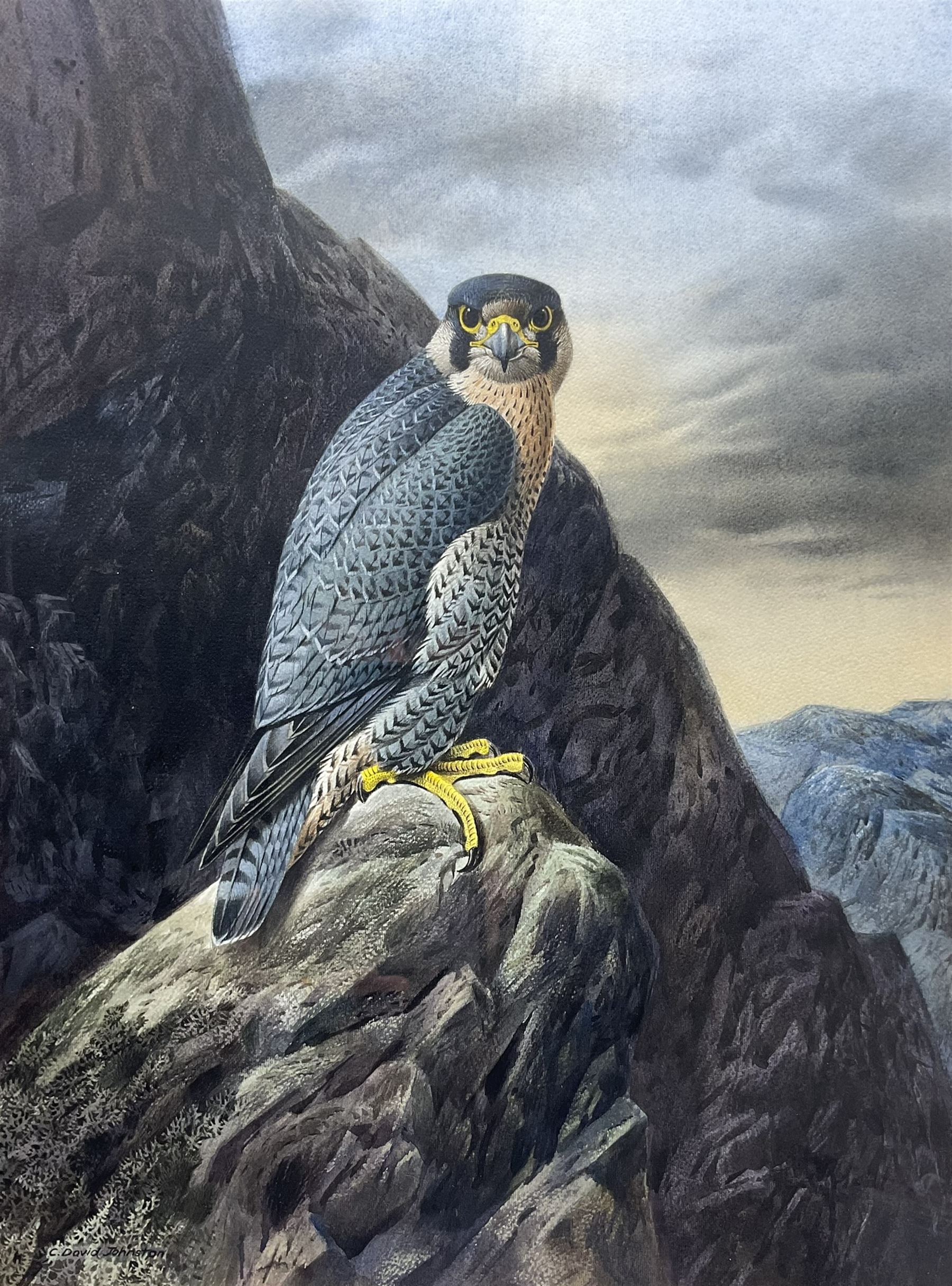 Cyril David Johnston | Peregrine Falcon | MutualArt