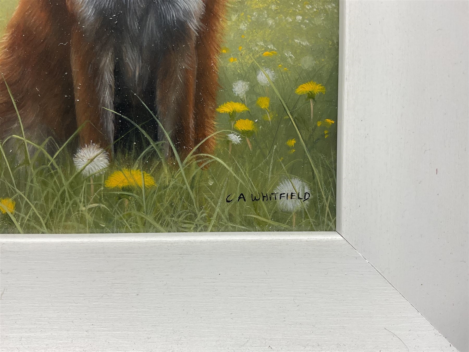 Carl Andrew Whitfield | 'Fox in Meadow' | MutualArt