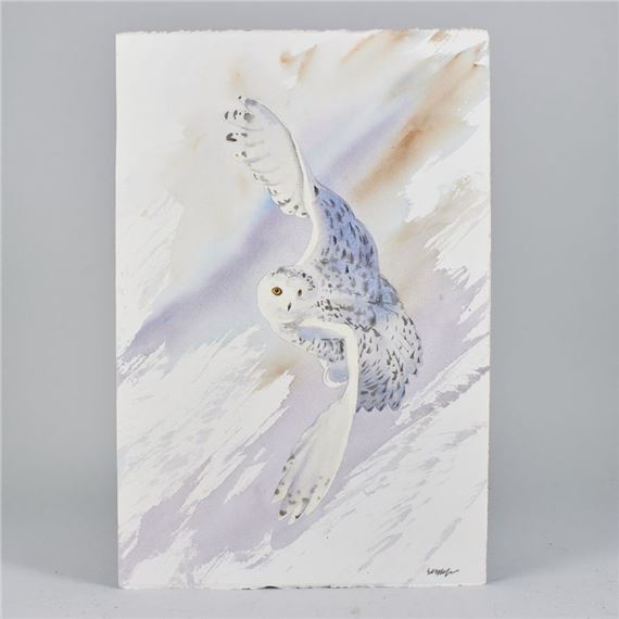 Anna Essipova | Biography