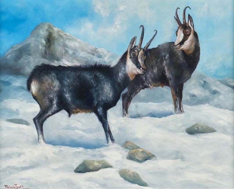 Judit Prihoda | Zwei Gämsen | MutualArt