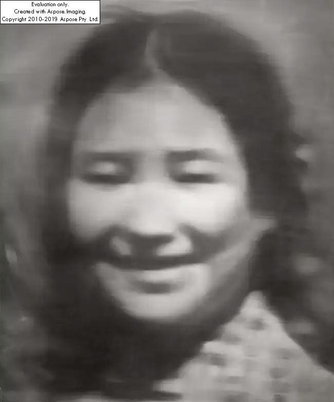 Li Luming | Portrait of Seventies (1957) | MutualArt