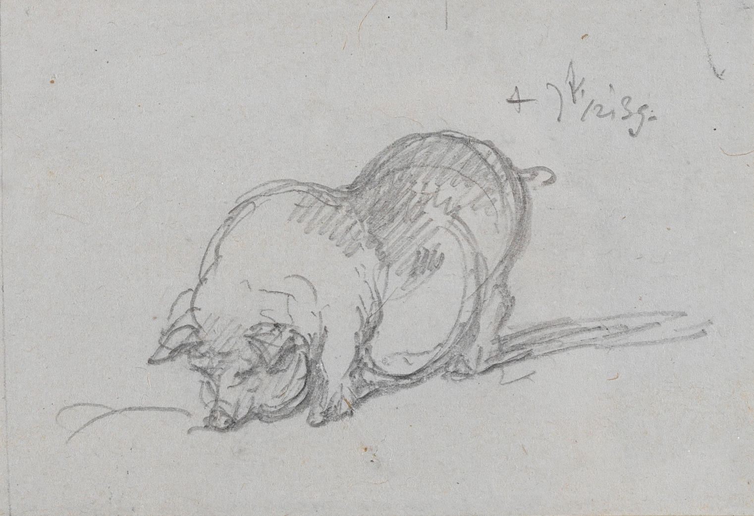 George Chinnery | Study of a sway back pig (1839) | MutualArt
