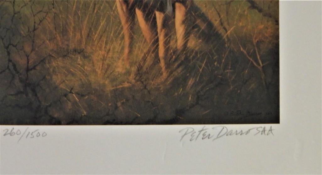 Peter Darro | PRONGHORNS | MutualArt
