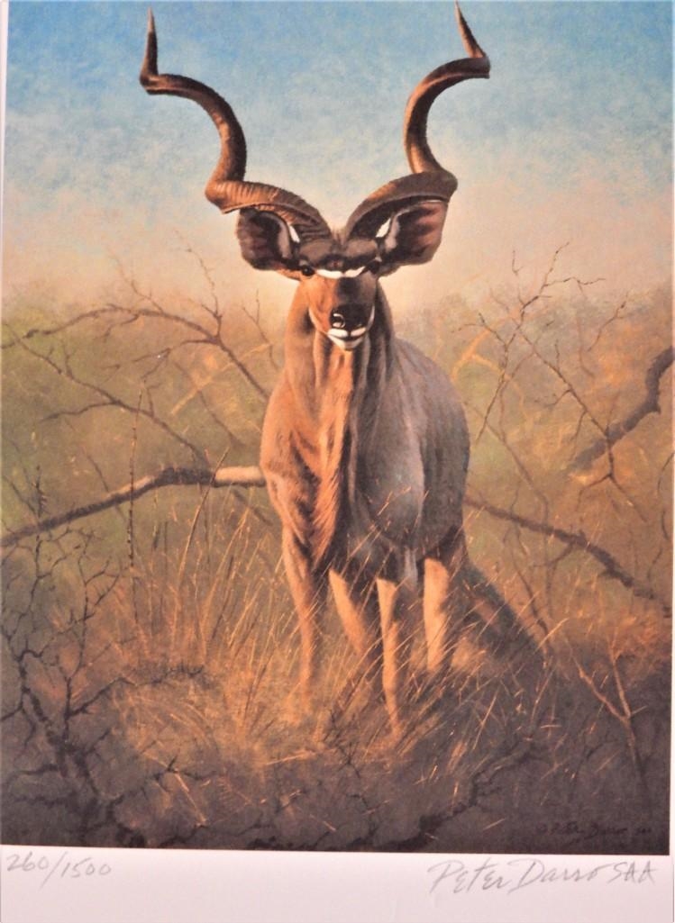 Peter Darro | PRONGHORNS | MutualArt