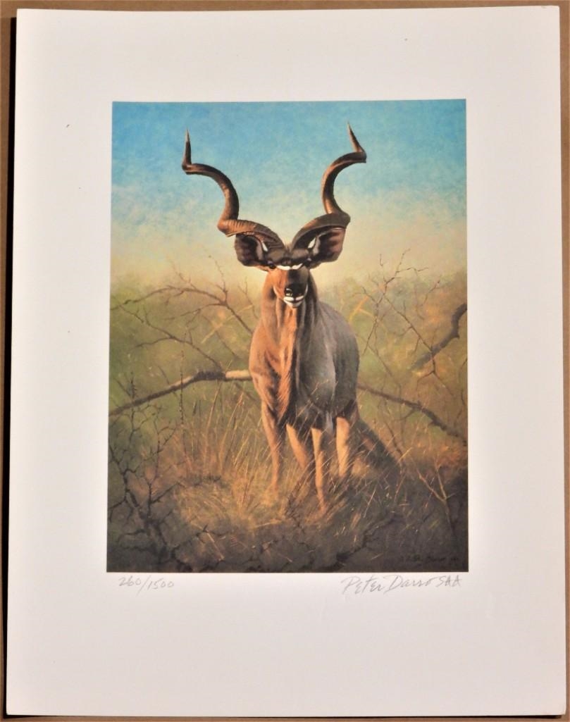 Peter Darro | PRONGHORNS | MutualArt