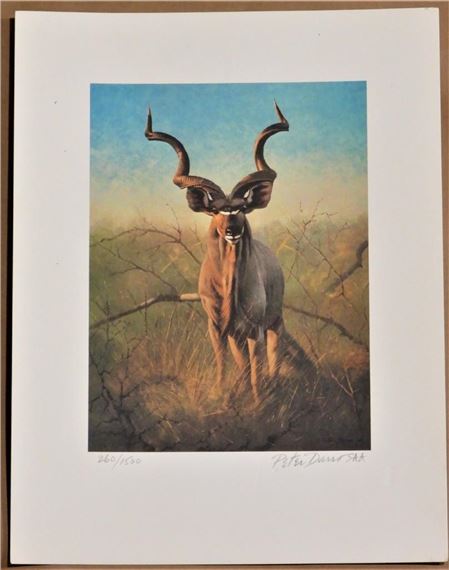 Peter Darro | PRONGHORNS | MutualArt