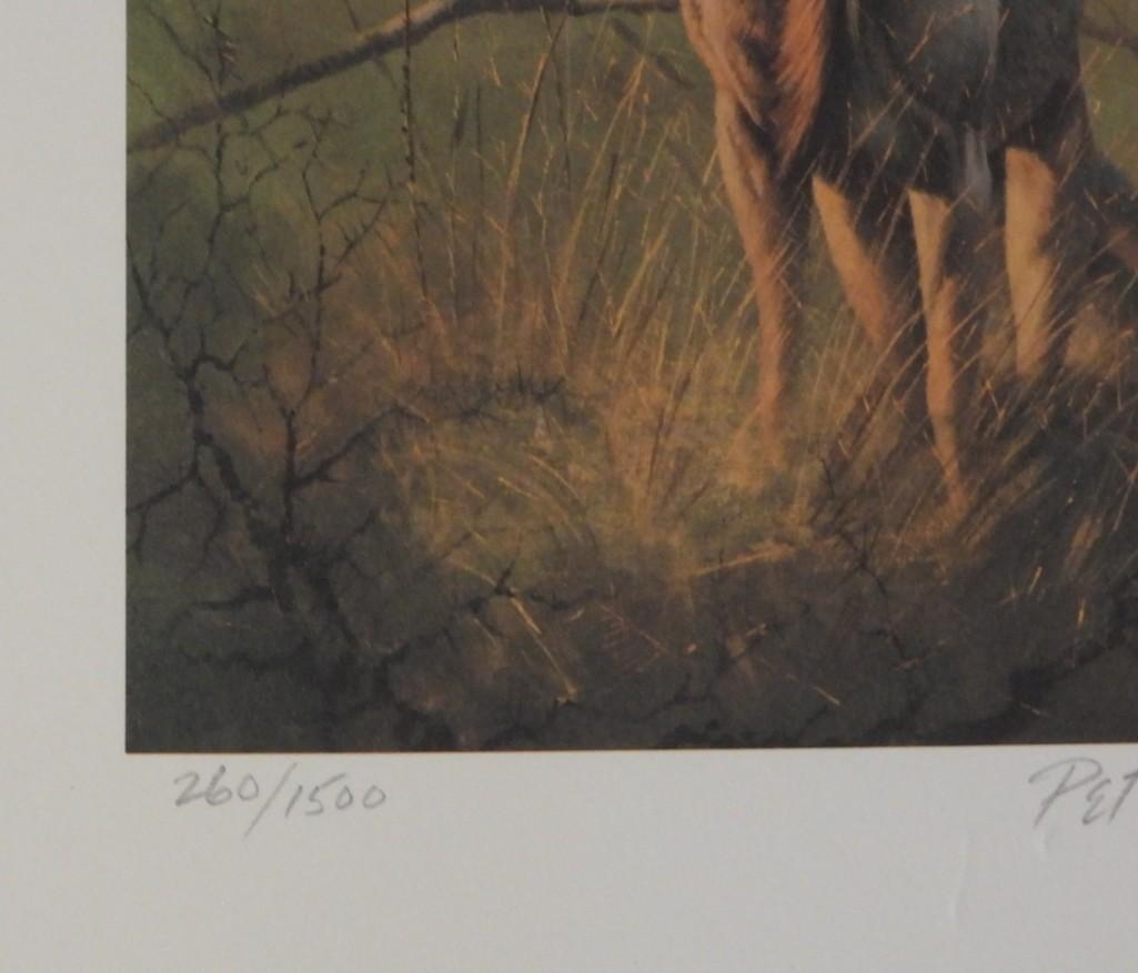 Peter Darro | PRONGHORNS | MutualArt