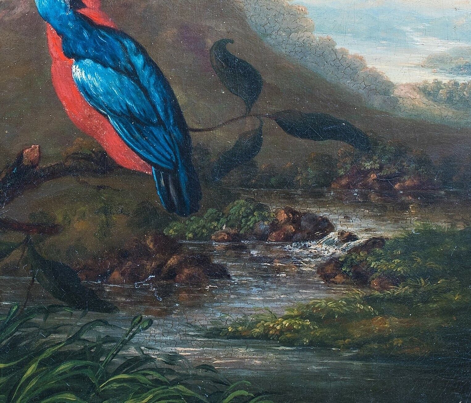 Philip Reinagle | STUDY OF A KINGFISHER (18th Century) | MutualArt