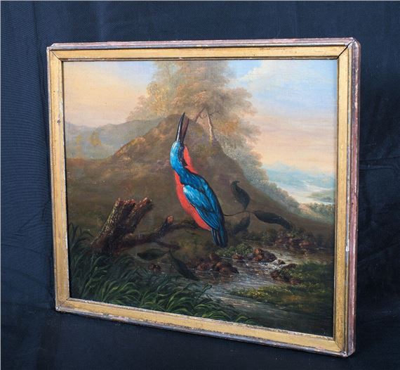 Philip Reinagle | STUDY OF A KINGFISHER (18th Century) | MutualArt