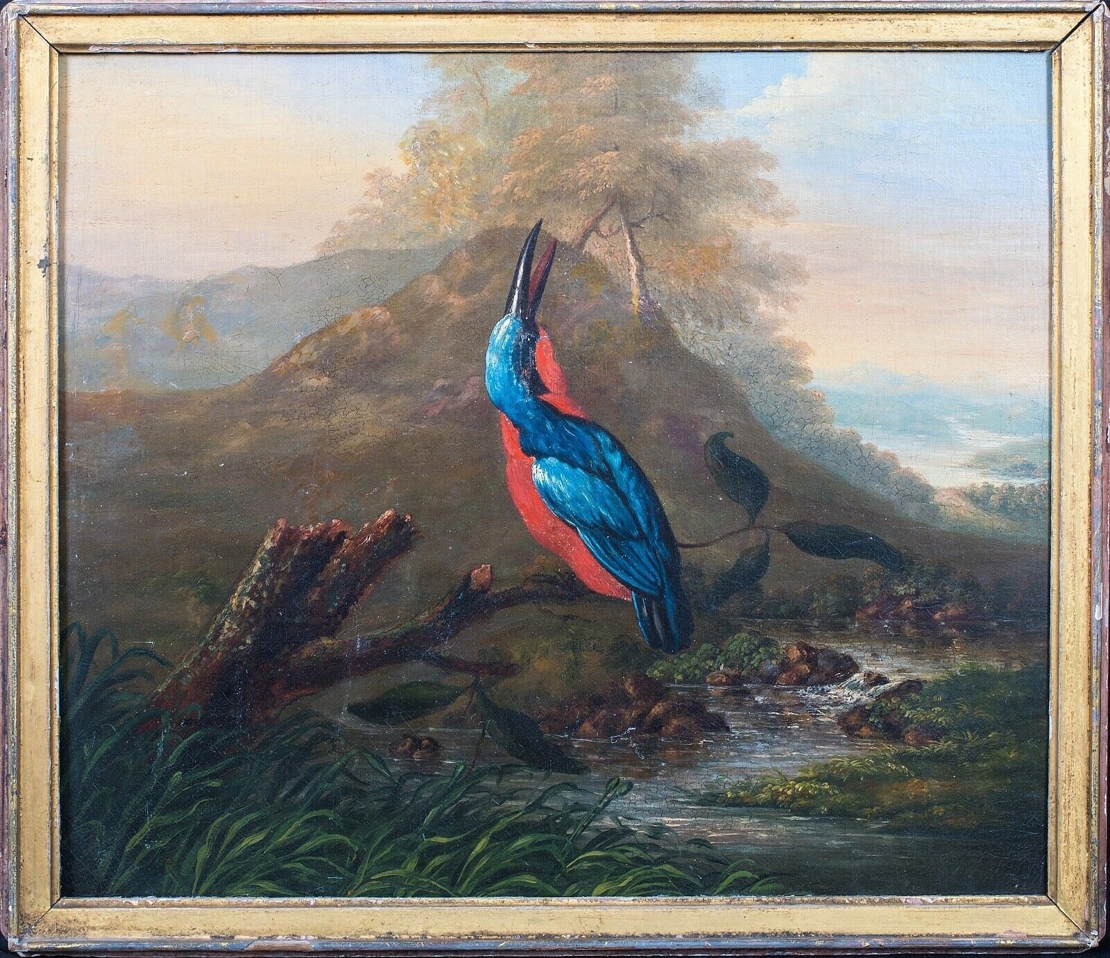 Philip Reinagle | STUDY OF A KINGFISHER (18th Century) | MutualArt