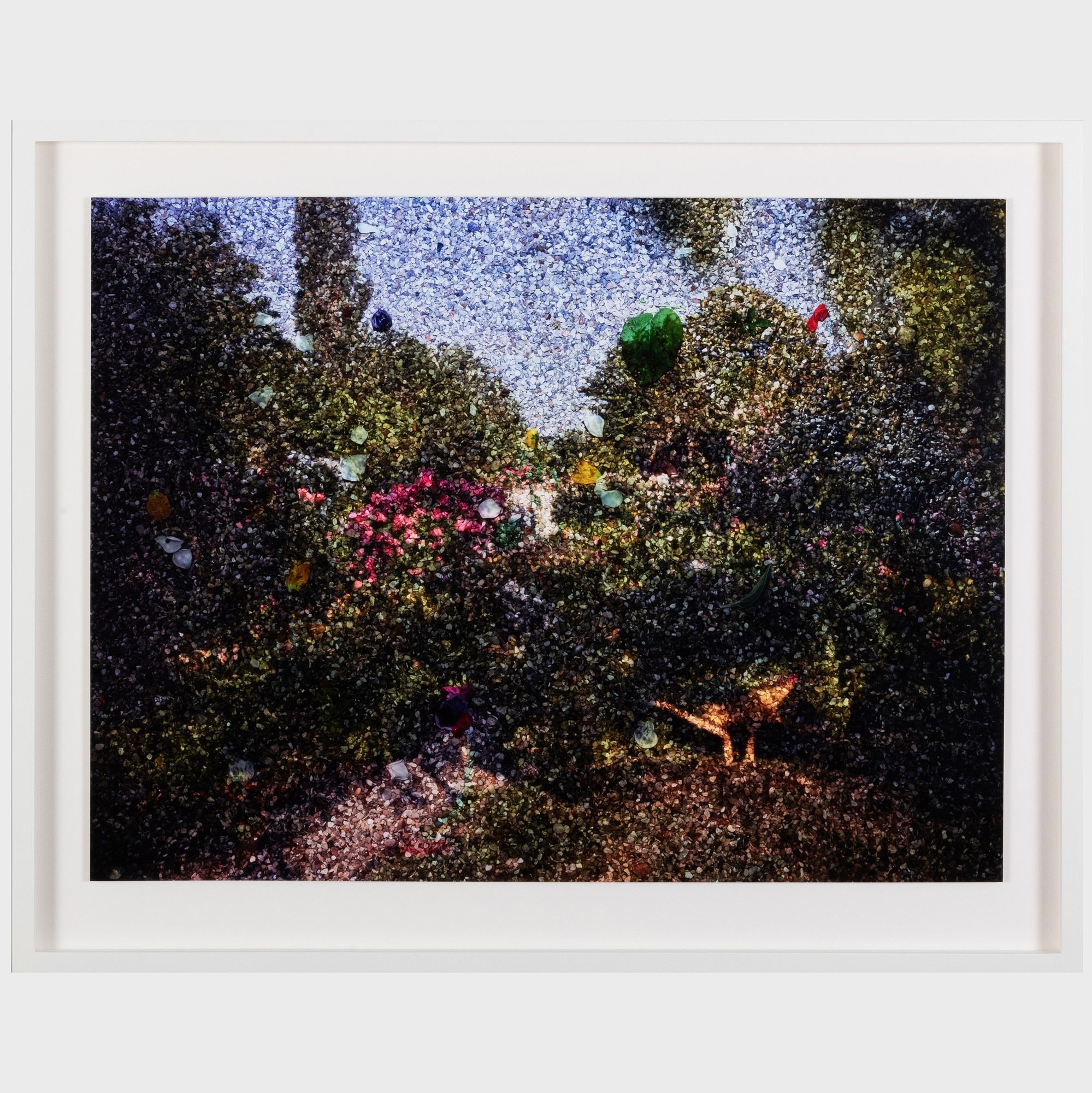 Abelardo Morell | View of Monet’s Garden (2015) | MutualArt