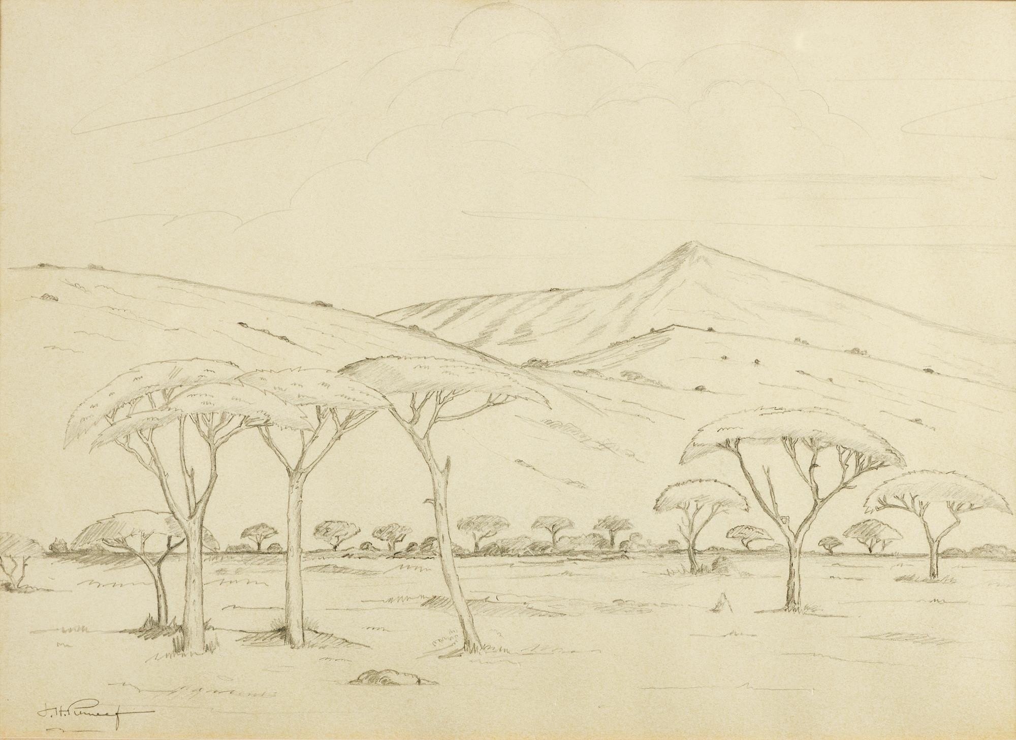 Jacob Hendrik Pierneef | ACACIA TREES IN A LANDSCAPE | MutualArt