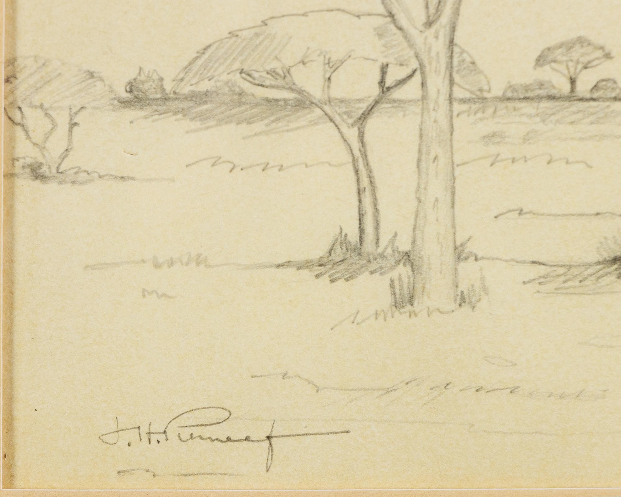 Jacob Hendrik Pierneef | ACACIA TREES IN A LANDSCAPE | MutualArt