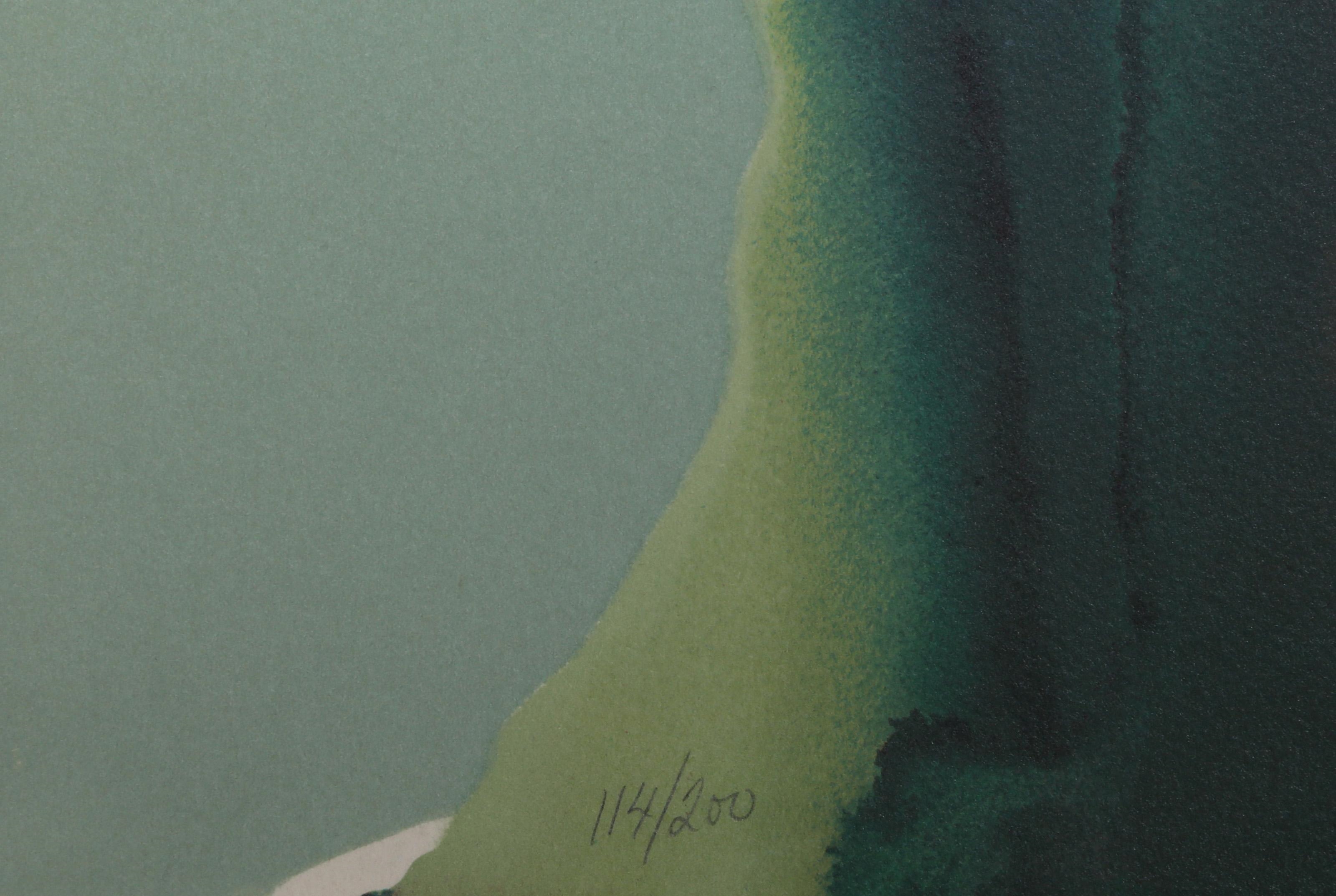 Eric Atkinson | FLOWER COASAS II (1973) | MutualArt