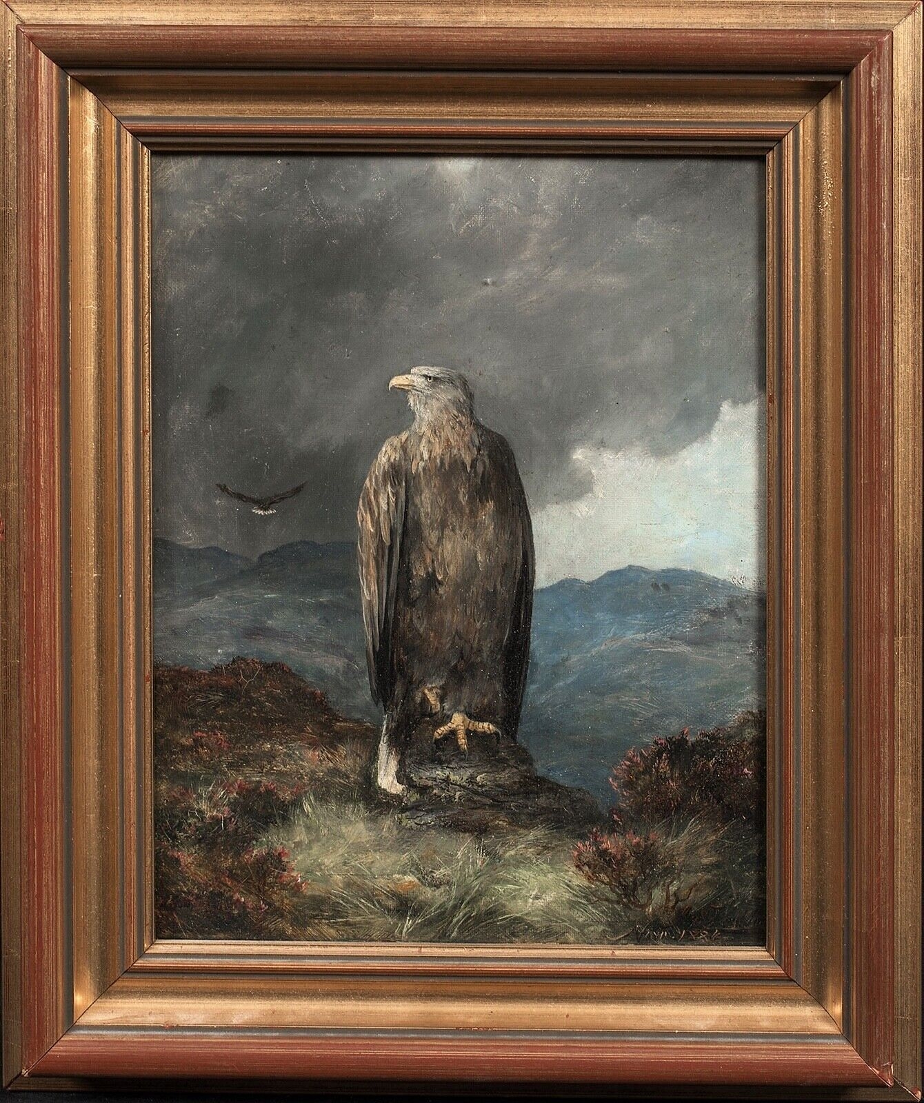 James Faed Sr. | PORTRAIT OF A WHITE TAILED SEA EAGLE (19th Century ...