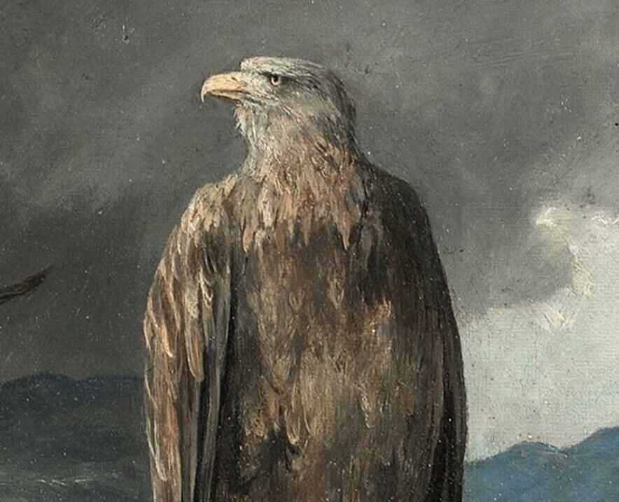 James Faed Sr. | PORTRAIT OF A WHITE TAILED SEA EAGLE (19th Century ...