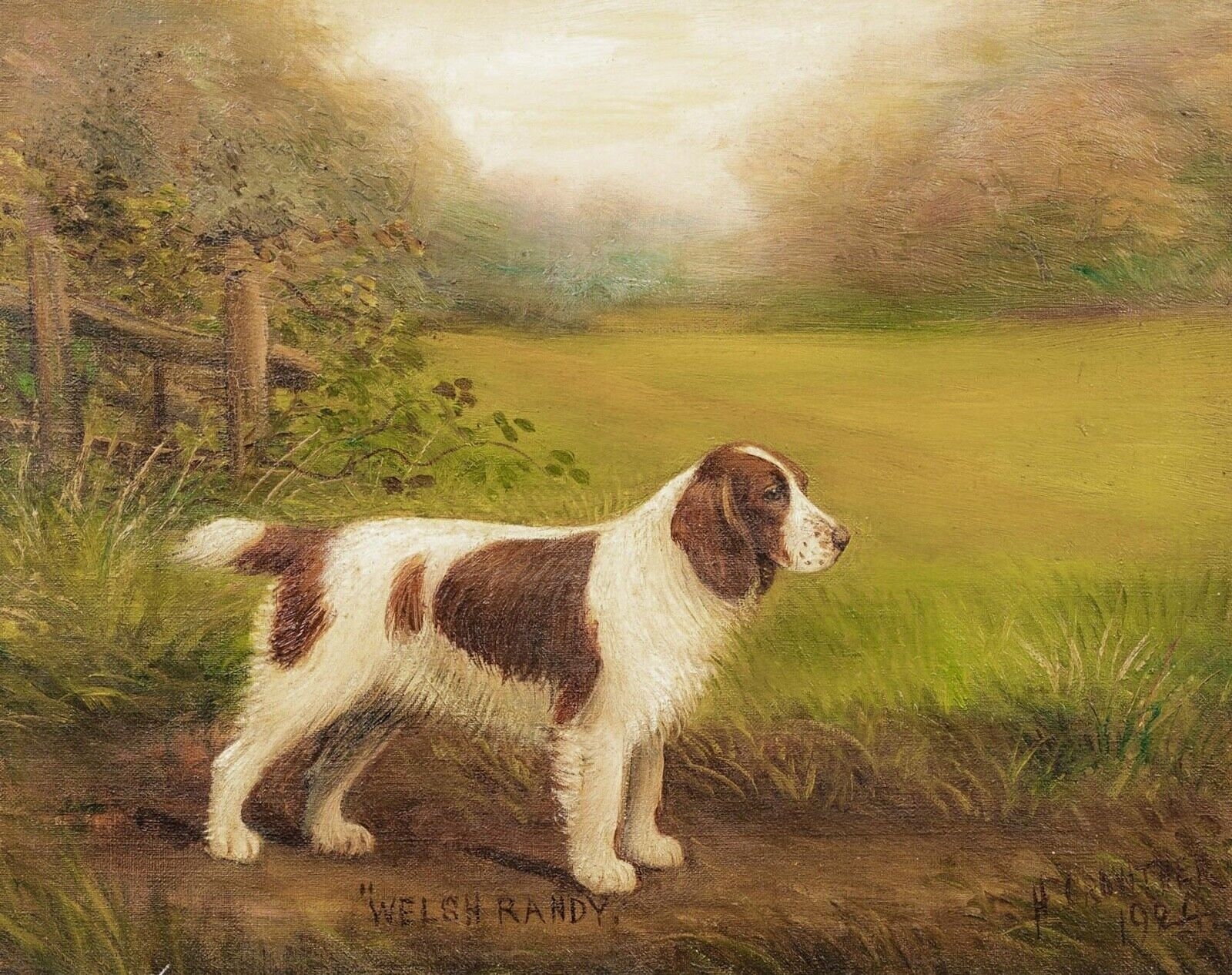 Henry Crowther | PORTRAIT OF WELSH RANDY AND WISH SPRINGER SPANIEL ...