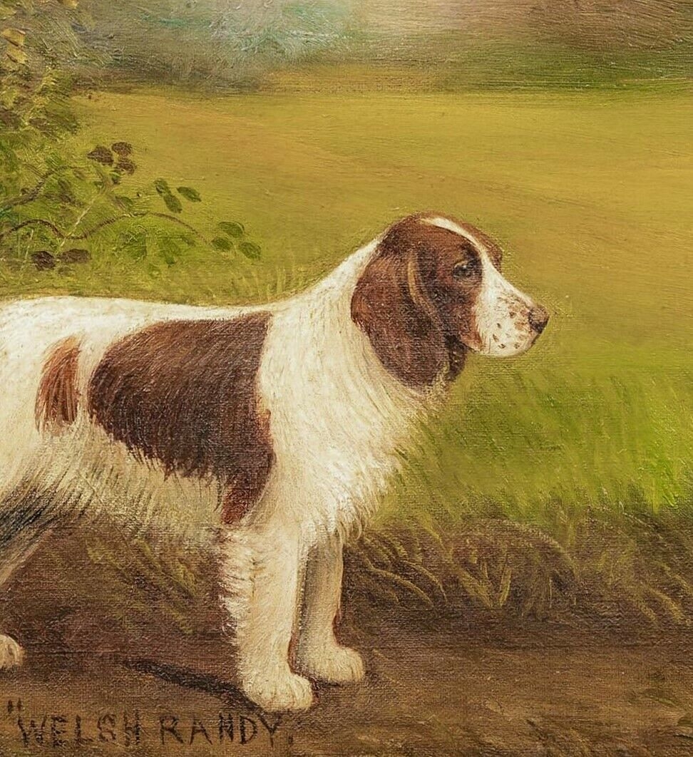 Henry Crowther | PORTRAIT OF WELSH RANDY AND WISH SPRINGER SPANIEL ...