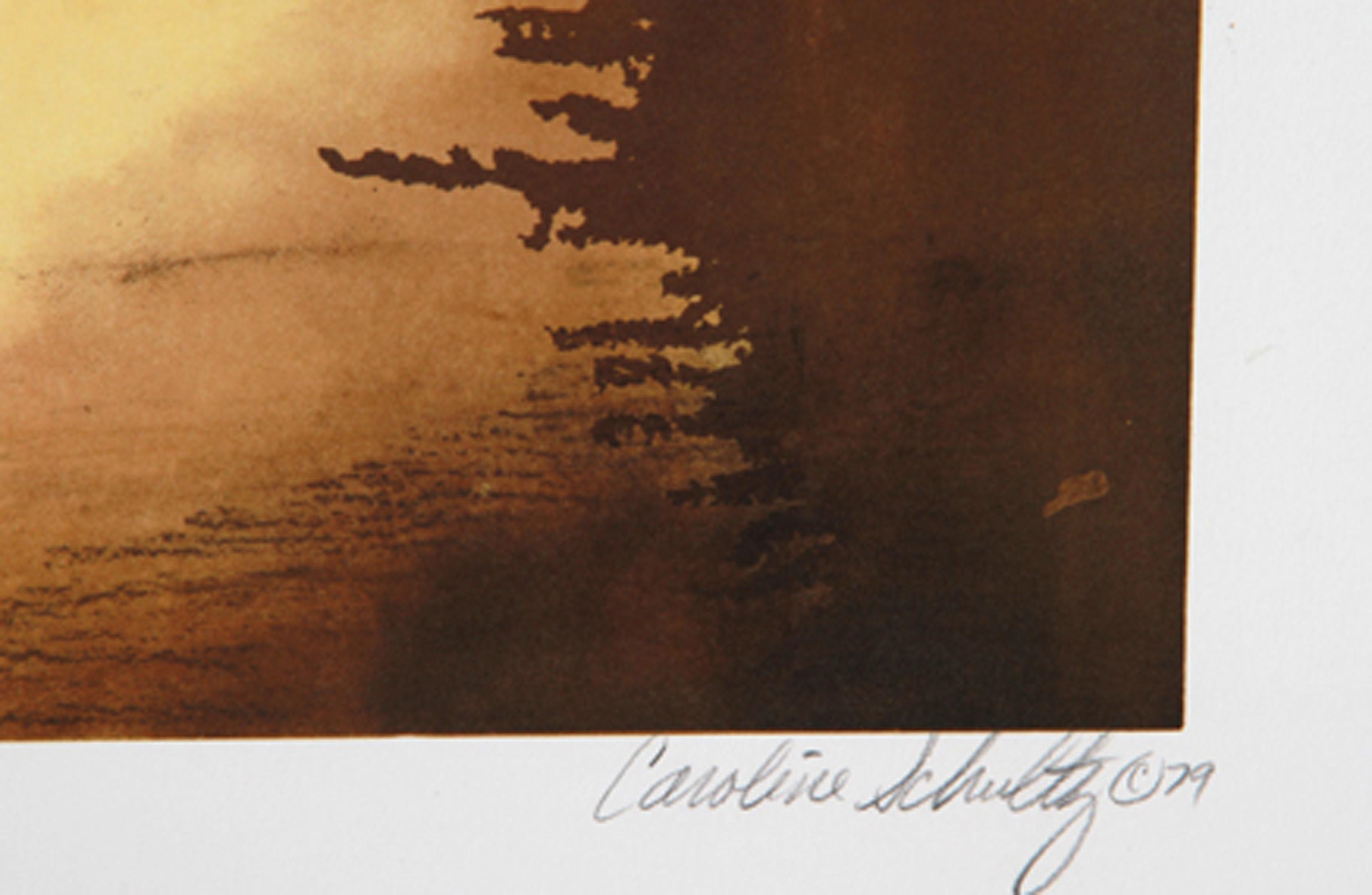 Caroline Schultz | ZEBRA MOTHERHOOD STUDY (1979) | MutualArt