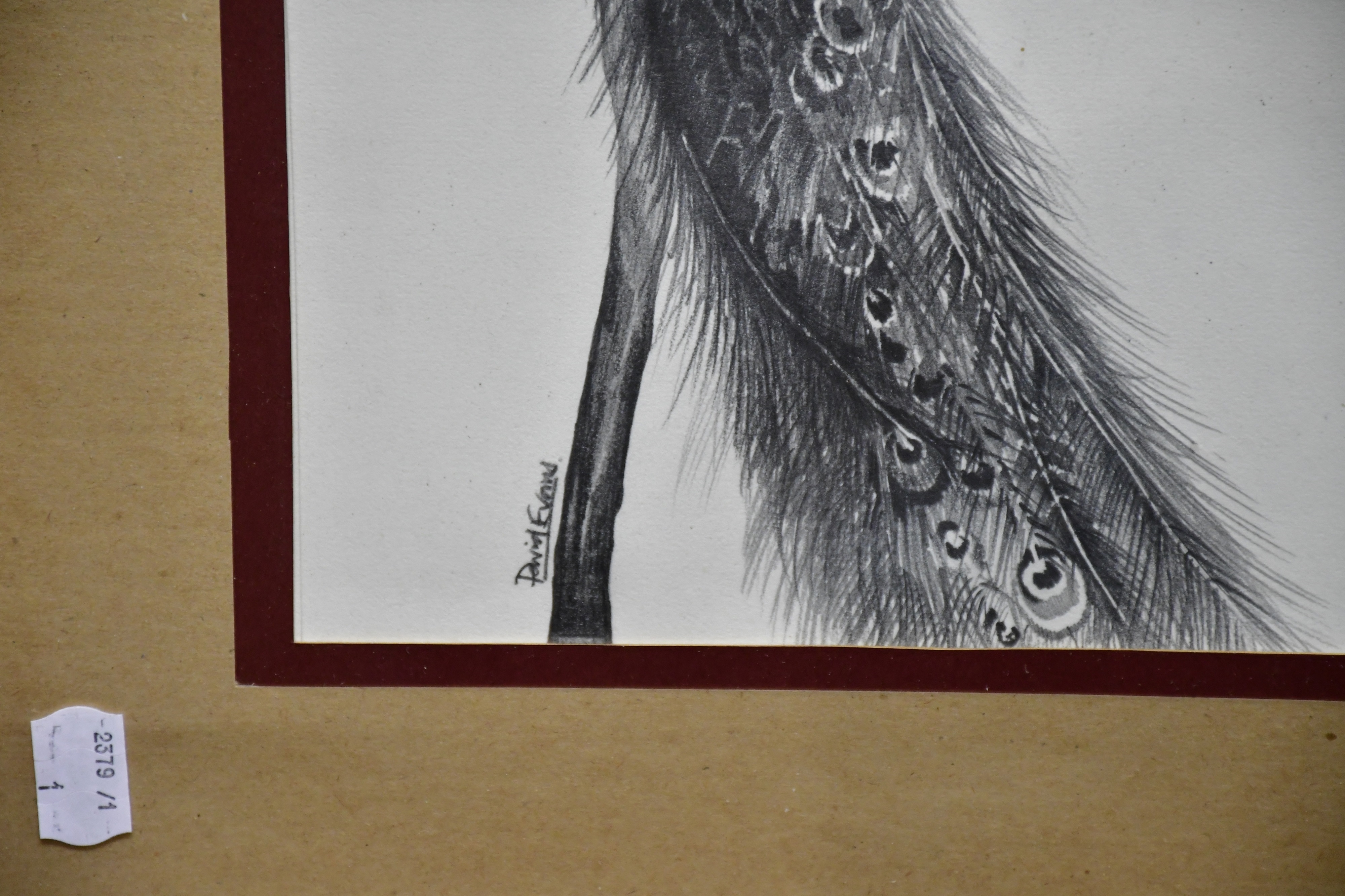 David Evans | portrait of man and peacock | MutualArt