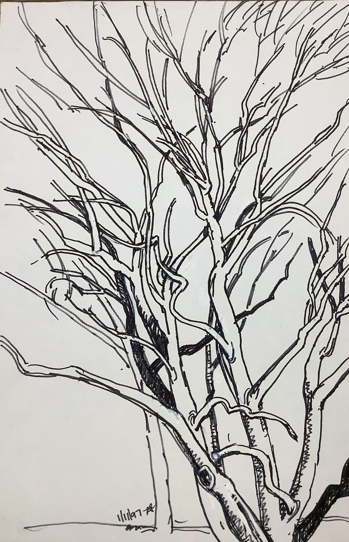 Anthony A. Ferrara | Forest landscapes | MutualArt