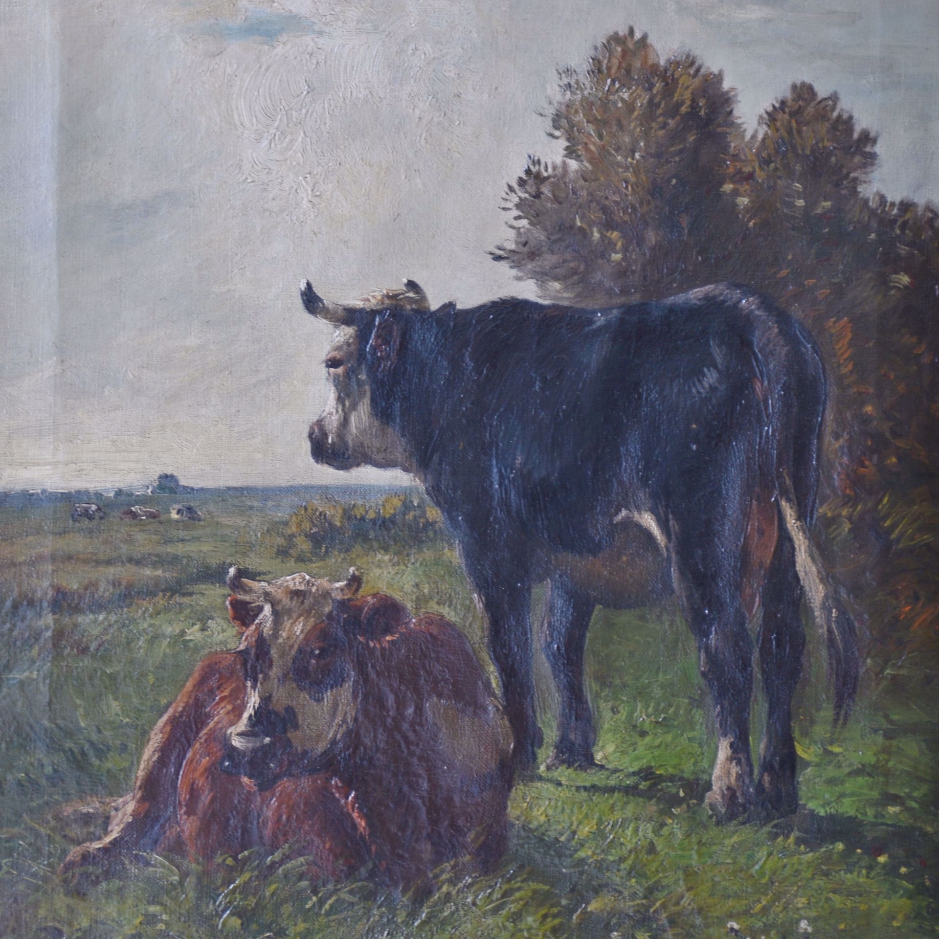 Henry Schouten | Resting cows in landscape | MutualArt