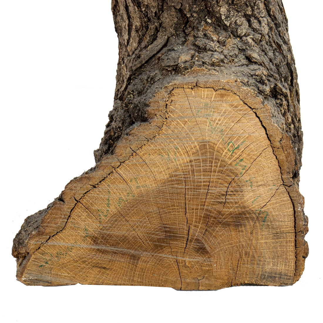David Nash | Canoe Carving (1945) | MutualArt