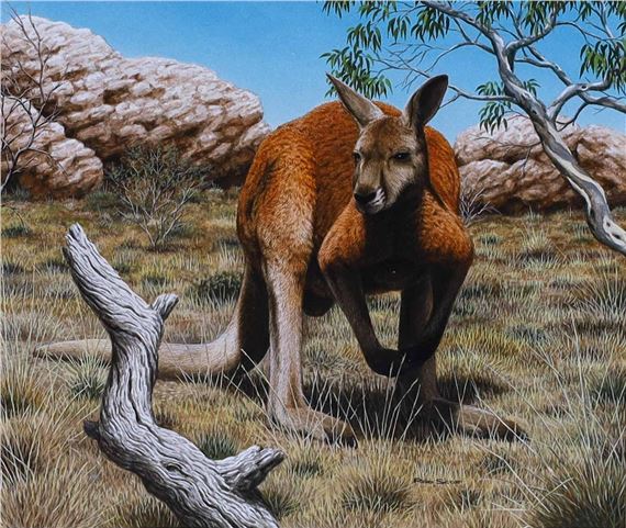 Rod Scott | Red Kangaroo | MutualArt