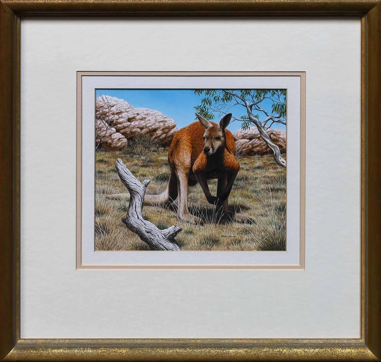 Rod Scott | Red Kangaroo | MutualArt