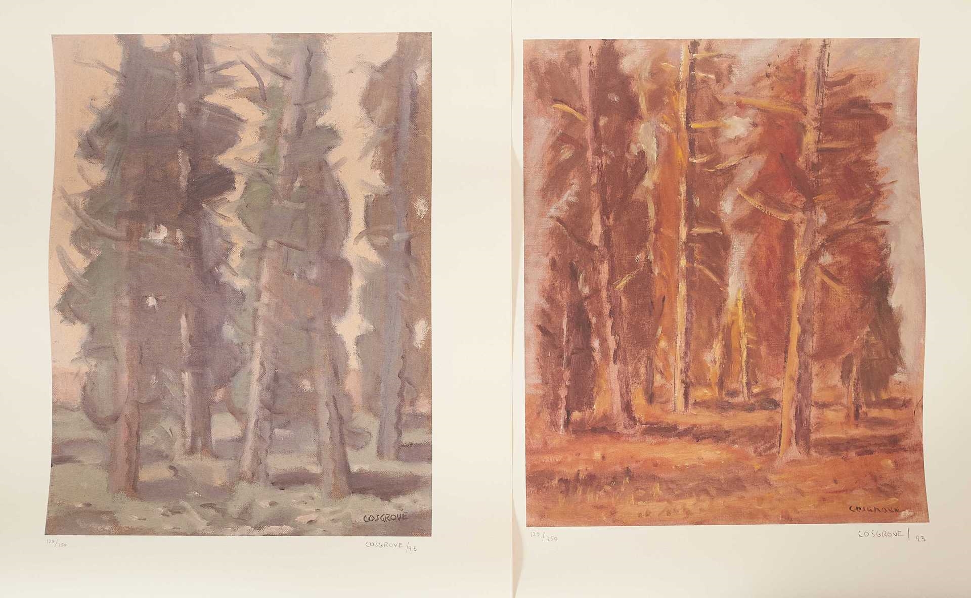 Stanley Cosgrove | Cosgrove coffret | MutualArt