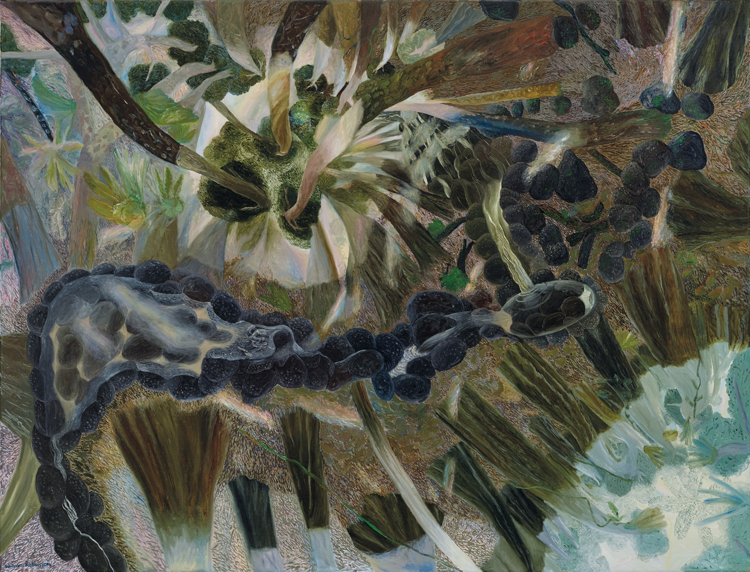 William Robinson | Rainforest with Botan Creek (1989) | MutualArt