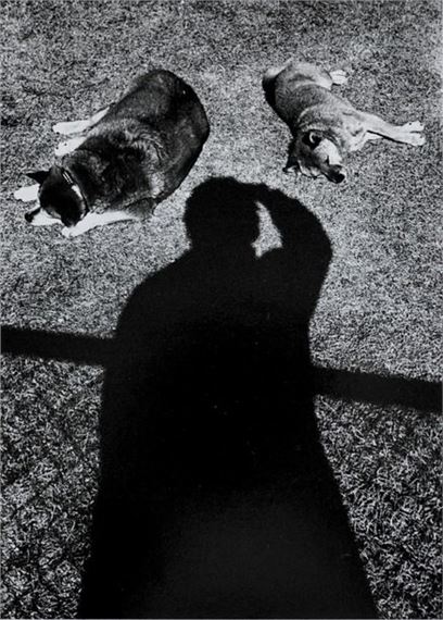 Daido Moriyama | Memories of a Dog (2004) | MutualArt