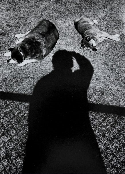 Daido Moriyama | Memories of a Dog (2004) | MutualArt