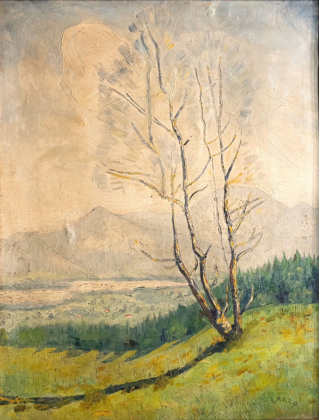Jorge Larco | Paisaje | MutualArt