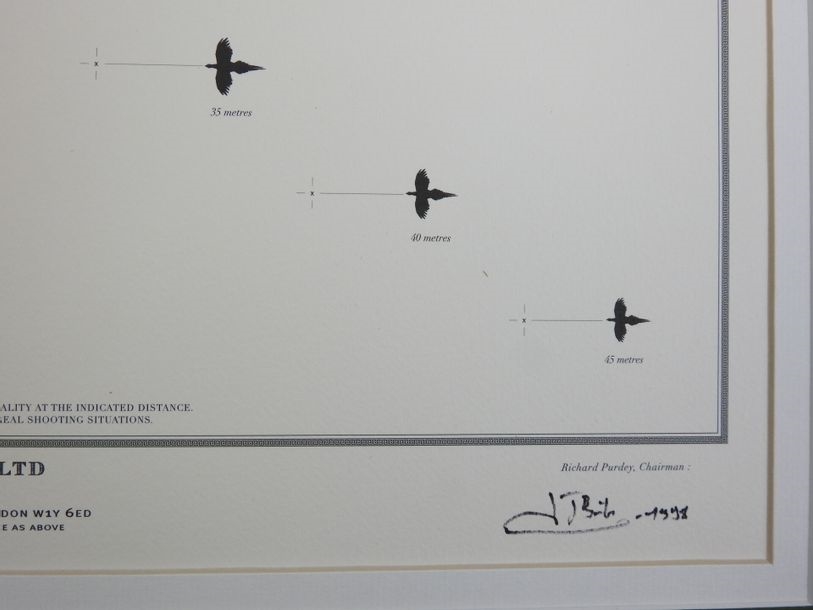 Laurent Bertin | Eye bird shooting (1998) | MutualArt