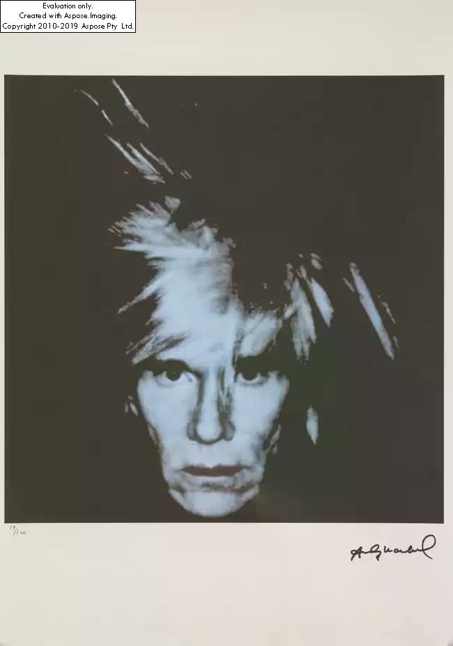 Andy Warhol | Self portrait | MutualArt