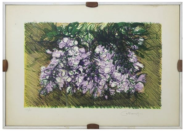 Giancarlo Cazzaniga | Wisteria | MutualArt