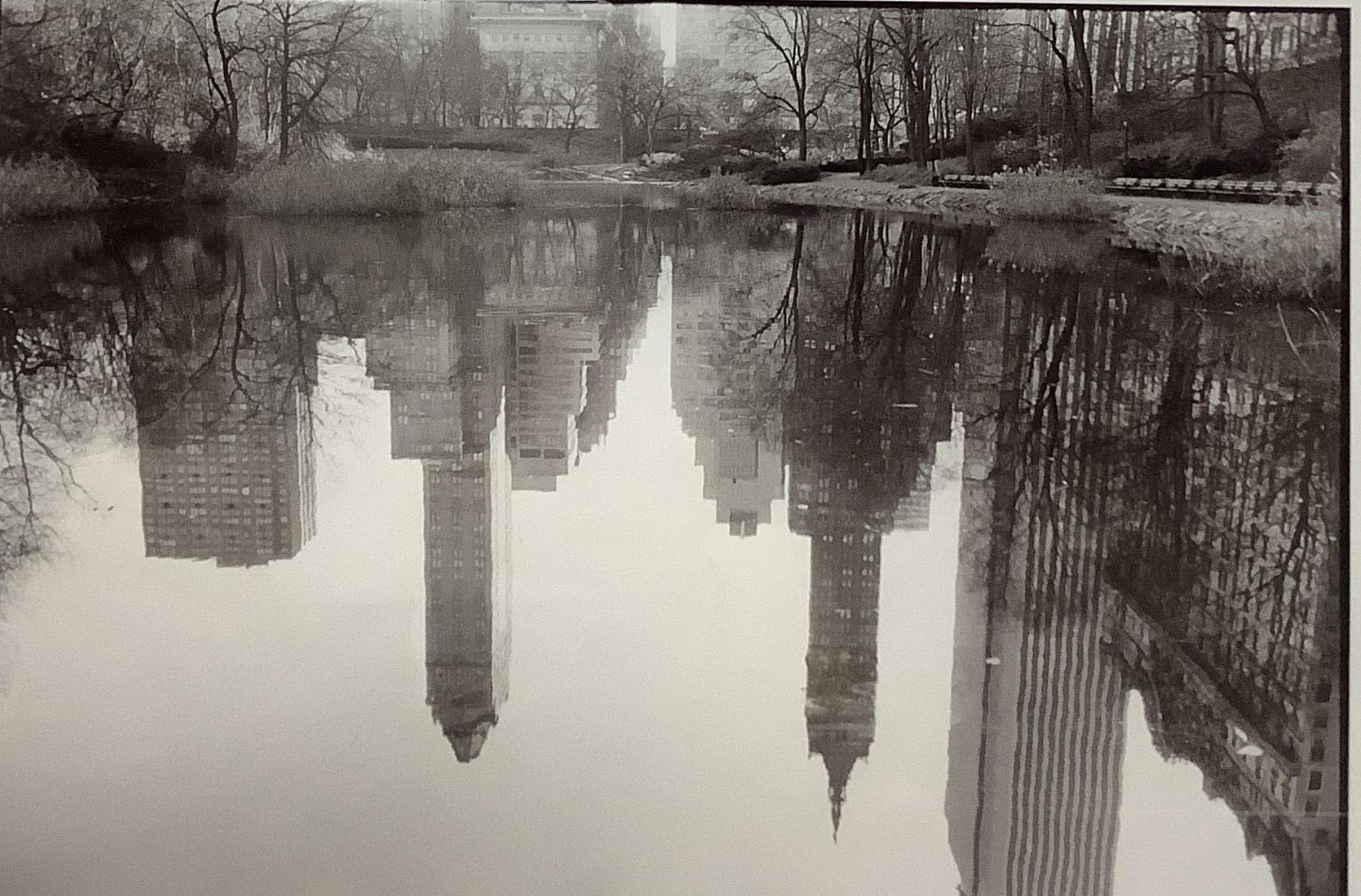 Chaim Kanner | Central Park Pond | MutualArt