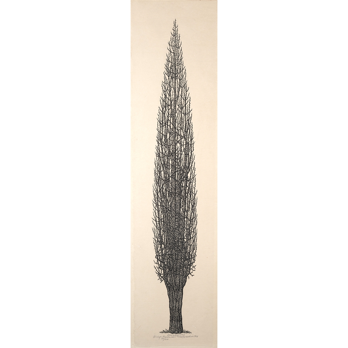 Jacques Hnizdovsky | Ginkgo Maidenhair Tree (1915) | MutualArt