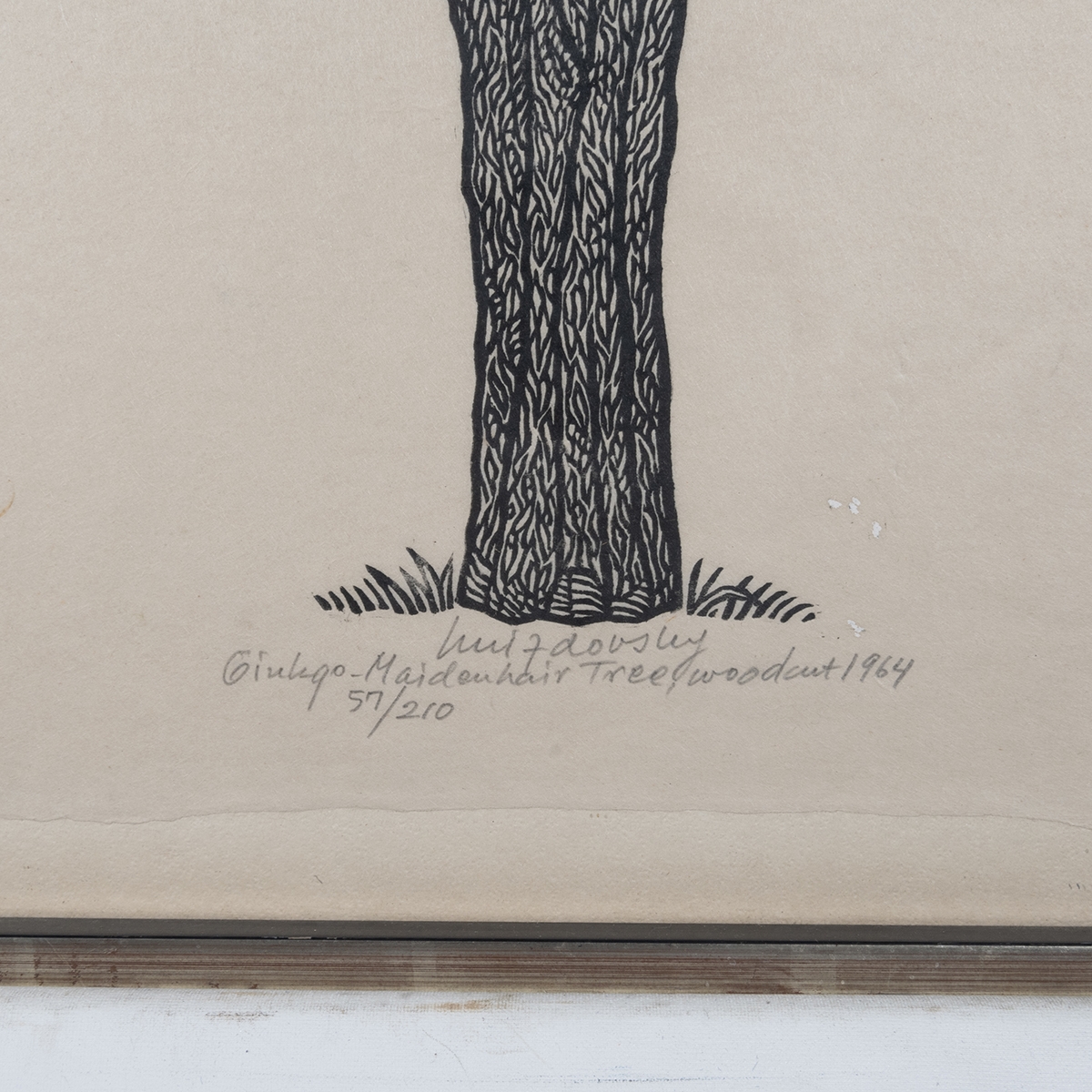 Jacques Hnizdovsky | Ginkgo Maidenhair Tree (1915) | MutualArt