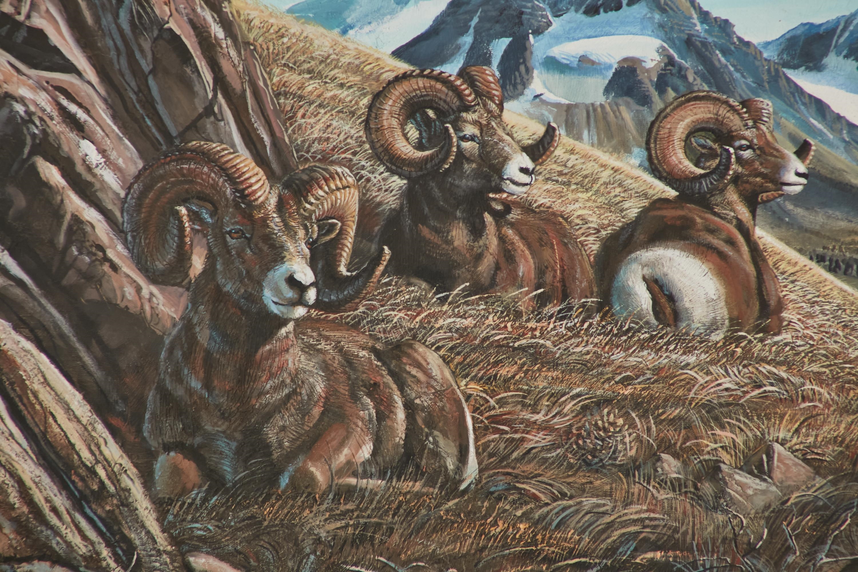 Larry Zabel | Untitled (Three Bighorn Sheep) 1985 (1985) | MutualArt